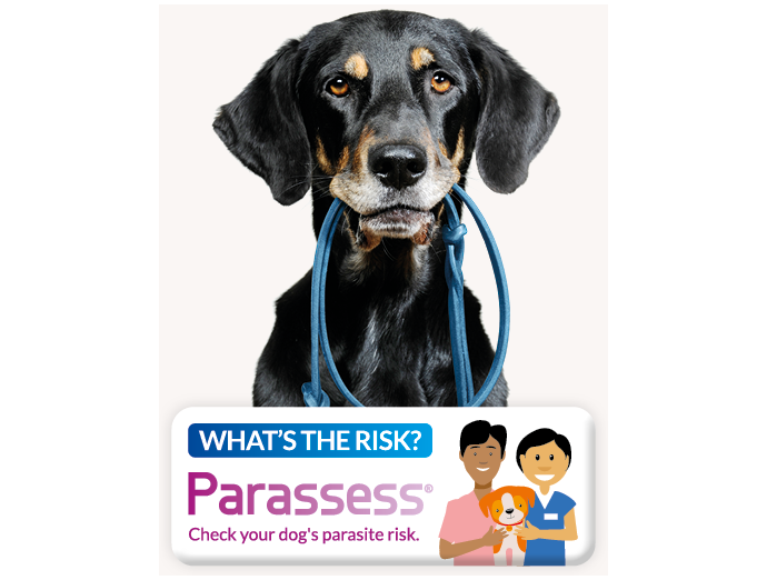 SUPPORTING YOUR VETERINARY PRACTICE | Nexgardspectra.co.uk